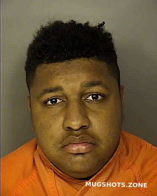 GUICE ALEXANDER ISAAC LEE 04/20/2025 - Horry County Mugshots Zone