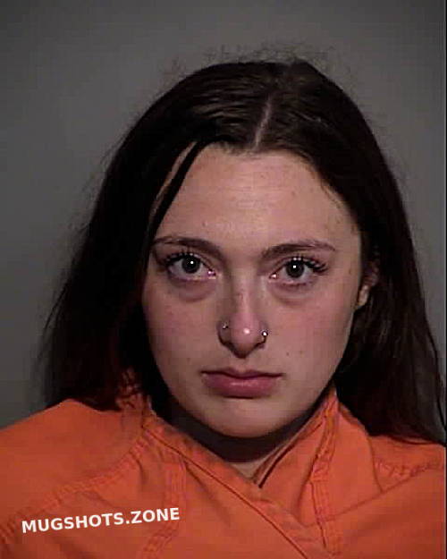 LEWIS HALEIGH VIRGINIA 04/20/2025 - Horry County Mugshots Zone