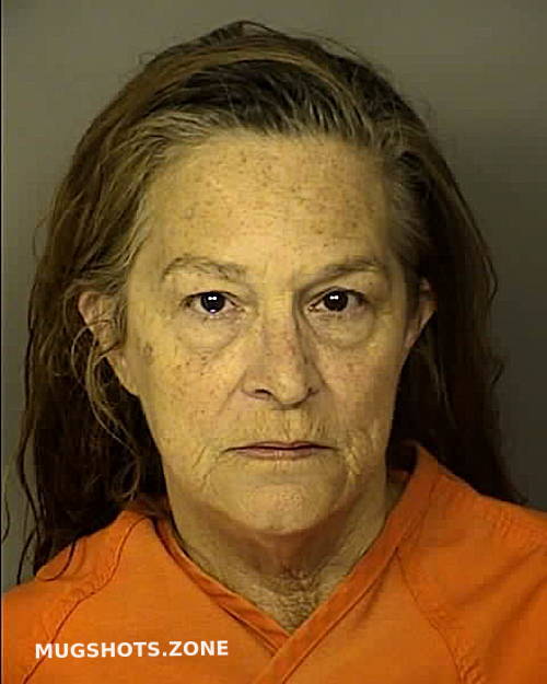 DRURY DEBBIE ANN 04/23/2025 - Horry County Mugshots Zone