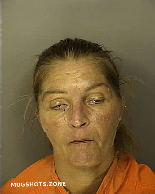 RHINE PATRICIA DEAN 04/23/2025 - Horry County Mugshots Zone