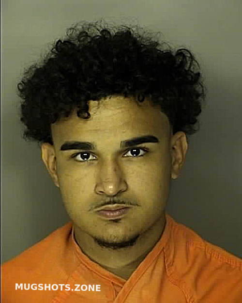 LOCKLEAR SAWYER PATRICK 04/26/2025 - Horry County Mugshots Zone