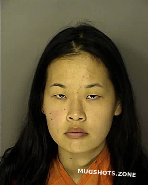 STEELE KELLY ANN 04/28/2025 - Horry County Mugshots Zone