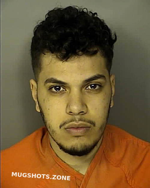 METWALLY-FARAG MOAZ MAHMOUD GHONELMI 05/02/2025 - Horry County Mugshots Zone