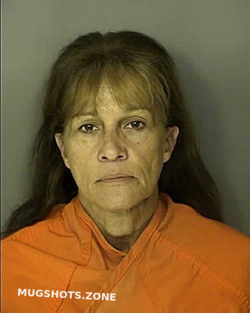 STOVER SANDRA PAULETTE 05/06/2025 - Horry County Mugshots Zone