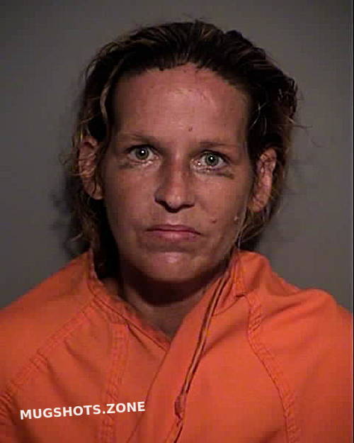 HENDRIX NICOLE RENEE 05/16/2025 - Horry County Mugshots Zone