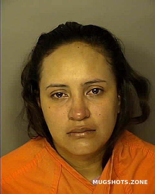 RODRIGUEZ-VILLAFRANC REBECA ELIZABETH 05/17/2025 - Horry County ...