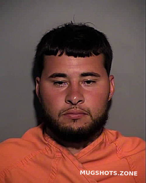 LOWERY HUNTER NELSON 05/18/2025 - Horry County Mugshots Zone