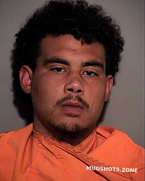 LOCKLEAR WILLIAM WORKMAN 05/18/2025 - Horry County Mugshots Zone