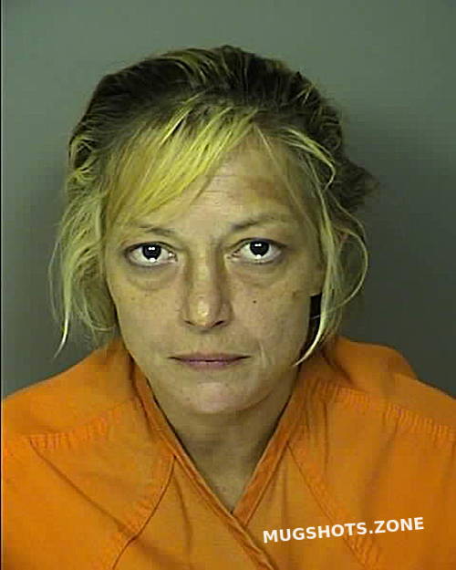 JACKMAN RACHEL ELIZABETH MARY 05/25/2025 - Horry County Mugshots Zone