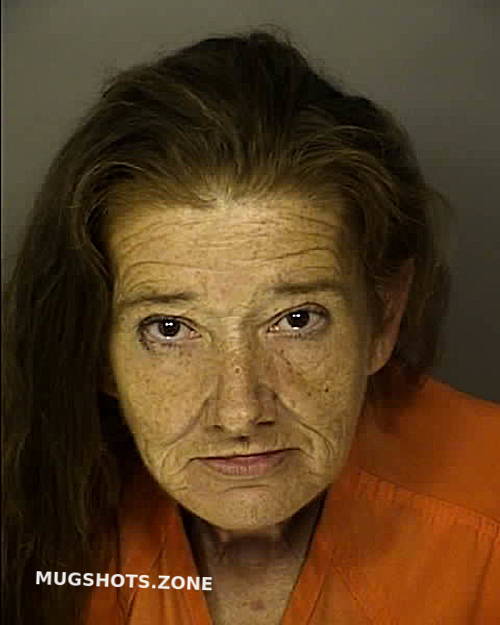 ROOTH PATRICIA CAROL 05/30/2025 - Horry County Mugshots Zone
