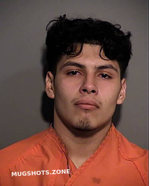 RODRIGUEZ ALFREDO TORRES 06/01/2025 - Horry County Mugshots Zone