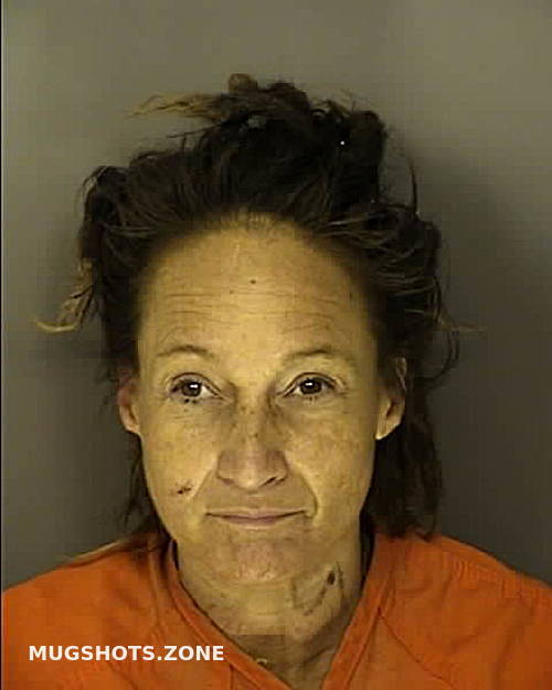 GAUDET ANGELA LYNN 06/02/2025 - Horry County Mugshots Zone
