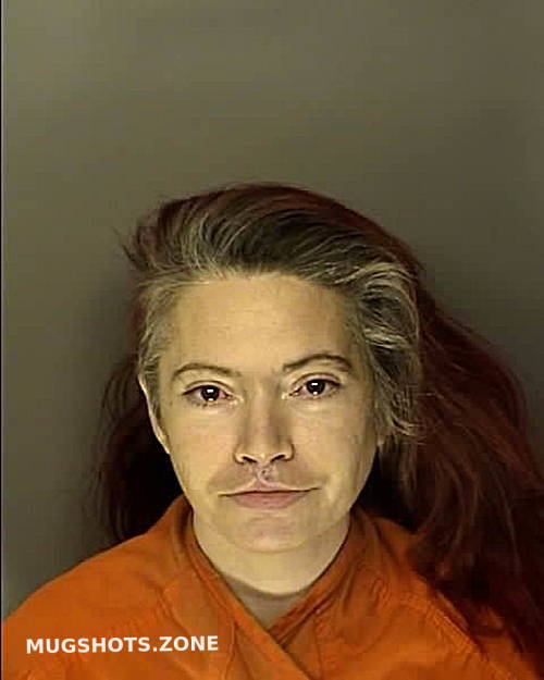 CREECH ERICA STELLA 06/02/2025 - Horry County Mugshots Zone