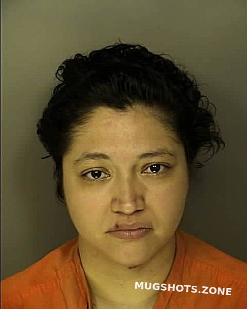 RODRIGUEZ SASHA ALEXANDRA 06/06/2025 - Horry County Mugshots Zone