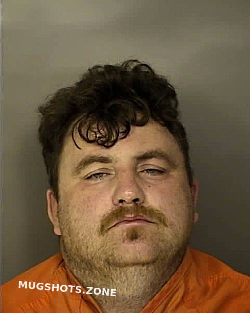 HOLIAN JOHN MICHAEL 06/07/2025 - Horry County Mugshots Zone