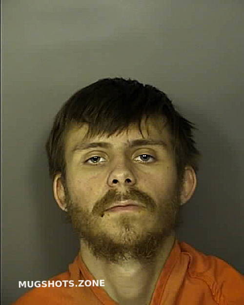 DAVIS HALEY DONALD 06/07/2025 - Horry County Mugshots Zone