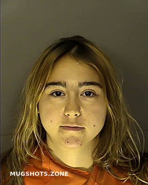 RIBAUDO DIFRANCESCO ANGELINA 06/10/2025 - Horry County Mugshots Zone