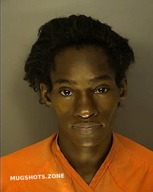 JOHNSON JANELLA ROSETTA 06/11/2025 - Horry County Mugshots Zone