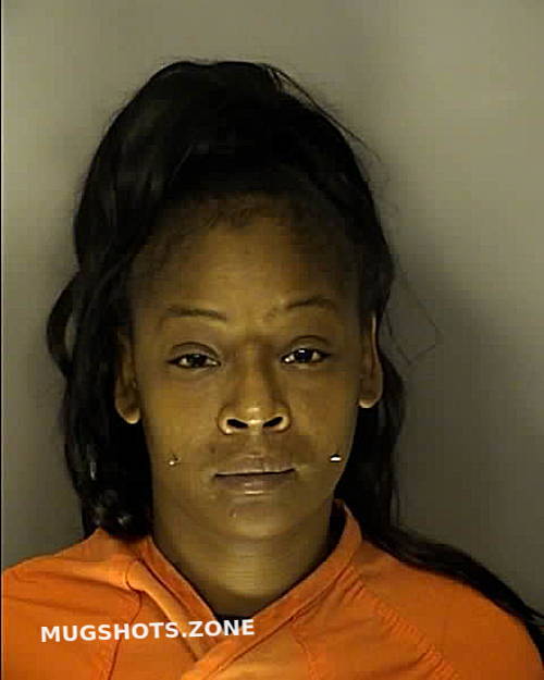 SALLEN SHEENA MICHELLE 06/14/2025 - Horry County Mugshots Zone