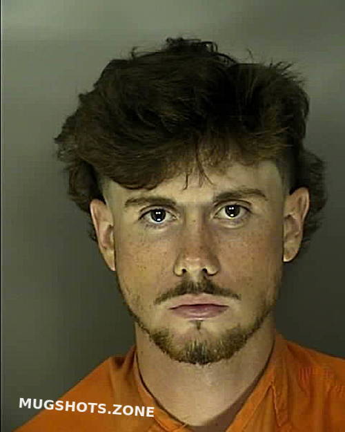 EANES WILLIAM CODY 06/14/2025 - Horry County Mugshots Zone