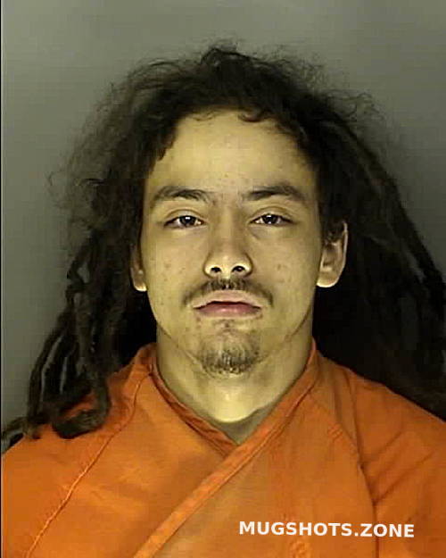 NEGRON STYLEZ UNIQUE 06/15/2025 - Horry County Mugshots Zone