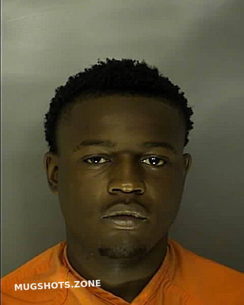 RIGGINS MICKEY DEWAYNE 06/16/2025 - Horry County Mugshots Zone