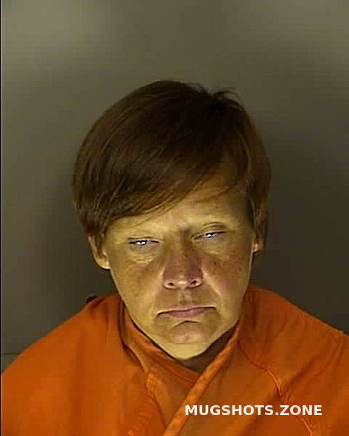 WEDLOCK TONYA LYNN 06/19/2025 - Horry County Mugshots Zone