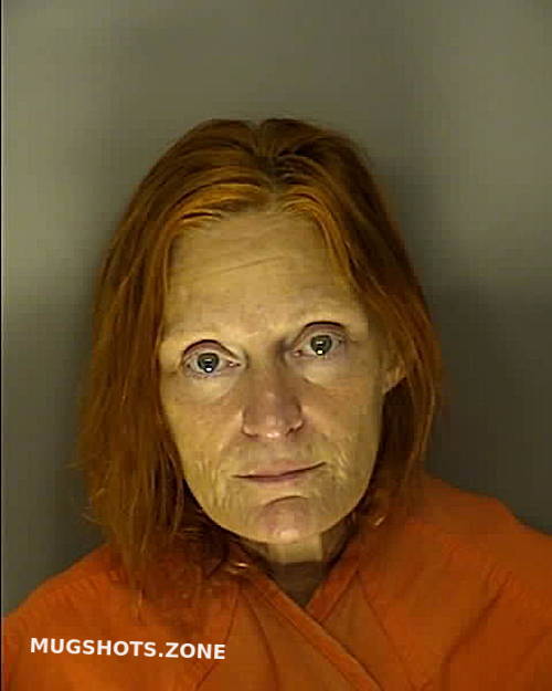 MILLS ERIN VICTORIA 06/20/2025 - Horry County Mugshots Zone