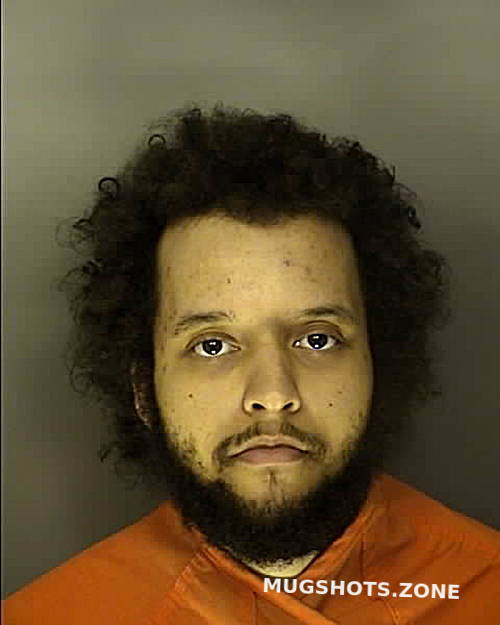 SELMON BRANDON DRAKE 06/20/2025 - Horry County Mugshots Zone