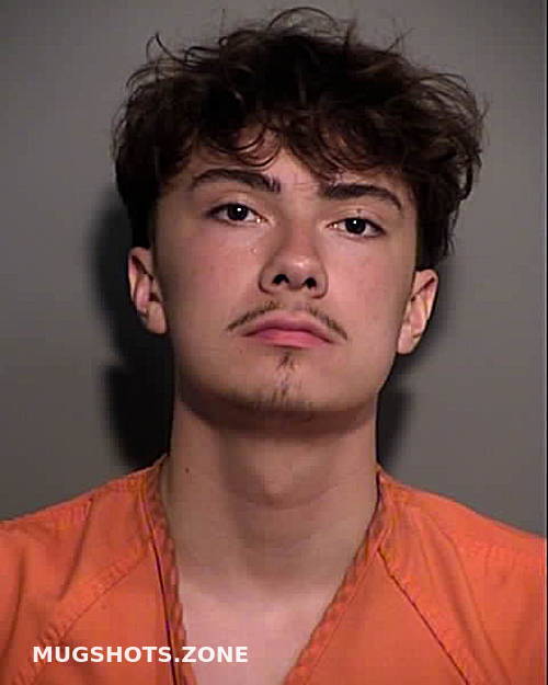 WICKHAM MATTHEW ALLEN 06/20/2025 - Horry County Mugshots Zone
