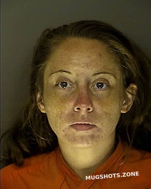 BIGHAM MICHELLE LEIGH 06/23/2025 - Horry County Mugshots Zone