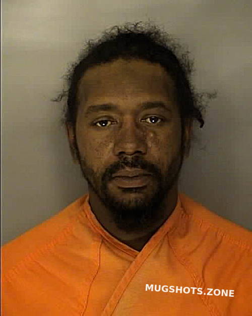 STRIBLIN GABRIAL ZORAH 06/25/2025 - Horry County Mugshots Zone