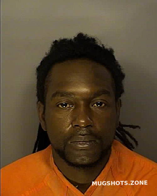 DEWITT RYHEN TERRELL 06/30/2025 - Horry County Mugshots Zone