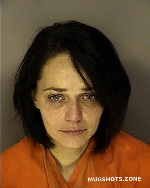 HARDWICK TONYA MARIE 07/01/2025 - Horry County Mugshots Zone