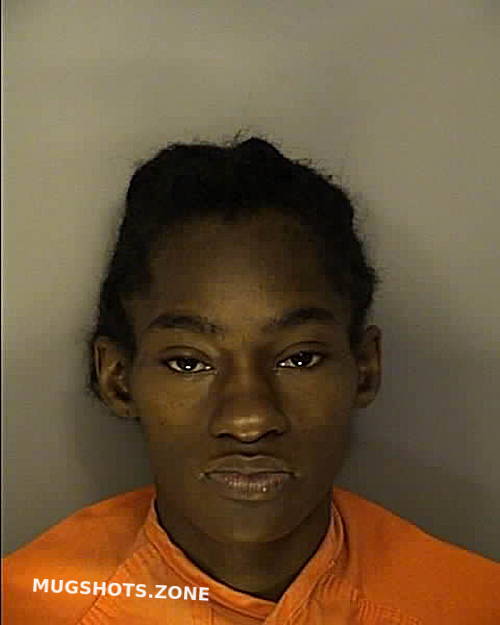 JOHNSON JANELLA ROSETTA 07/07/2025 - Horry County Mugshots Zone
