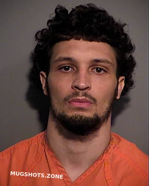 DEESE WILLIAM ANDREW 07/11/2025 - Horry County Mugshots Zone