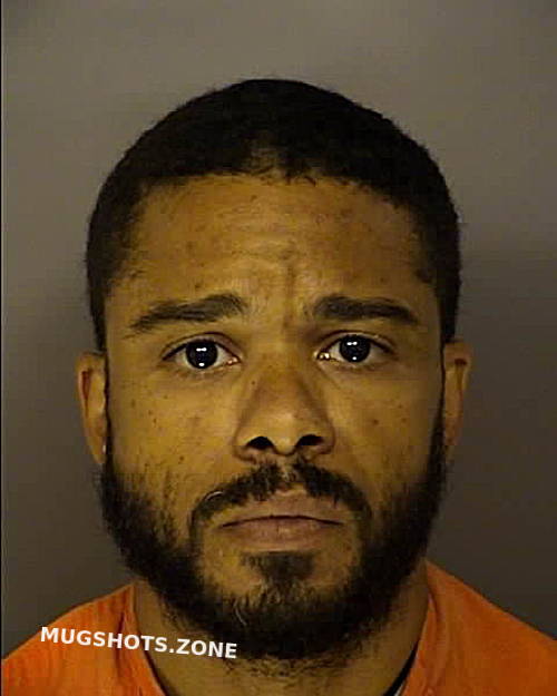 DAVIS WAYNE ALLEN 07/11/2025 - Horry County Mugshots Zone