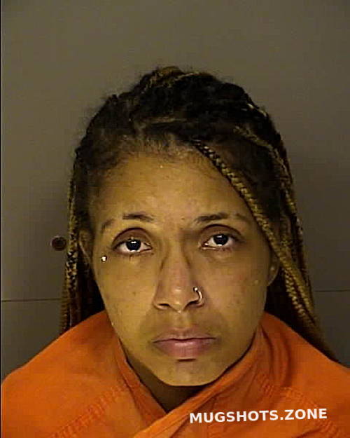 HOWARD ELIZABETH MONIQUE 07/12/2025 - Horry County Mugshots Zone