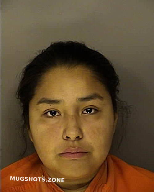 STANTON ODINA JODI 07/12/2025 - Horry County Mugshots Zone