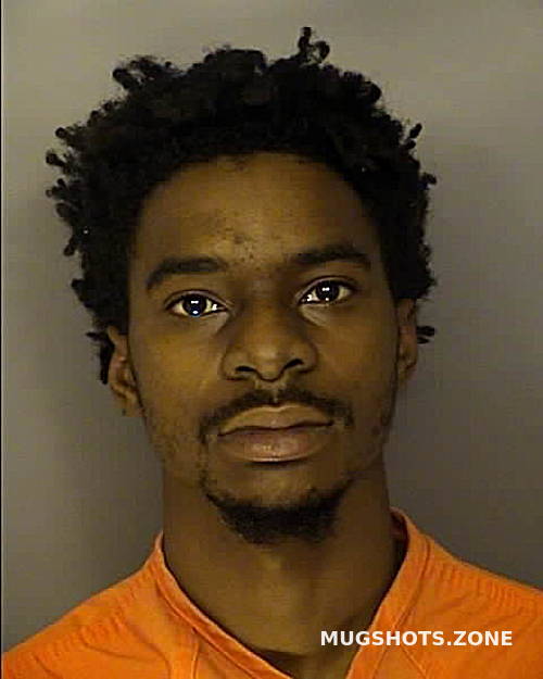 PERRY WILLIE BERNARD 07/13/2025 - Horry County Mugshots Zone