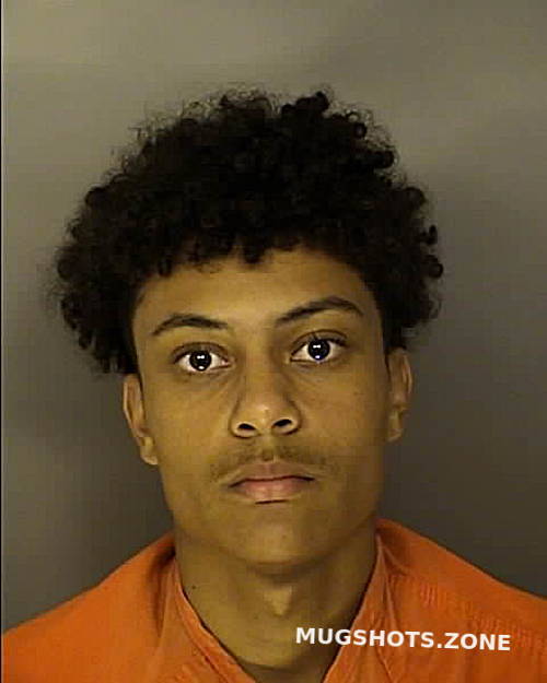 BATTS KING THOMAS 08/01/2025 - Horry County Mugshots Zone