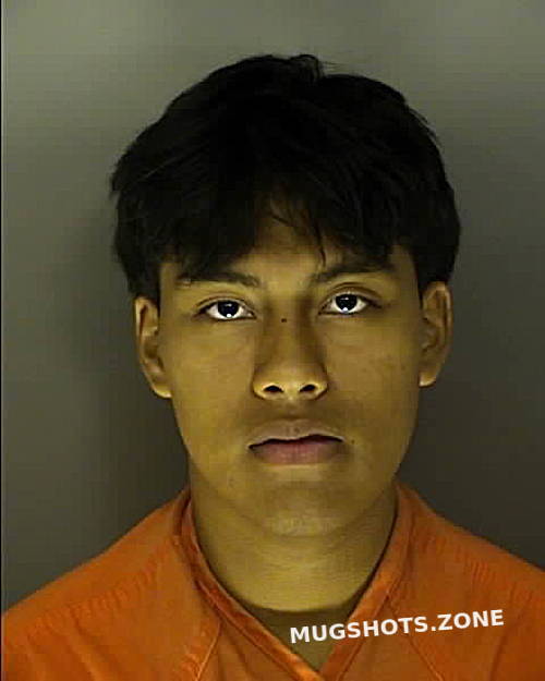 GILBERT SCOTT ANDREW 08/20/2025 - Horry County Mugshots Zone
