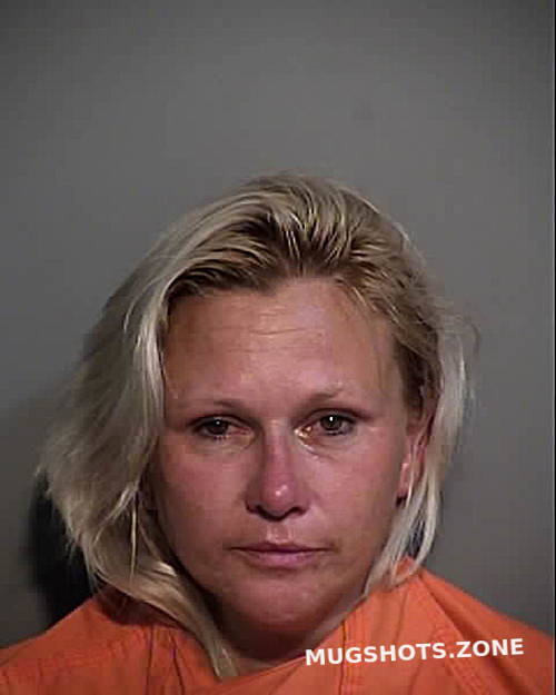 JAMES AMY BETH 08/20/2025 - Horry County Mugshots Zone