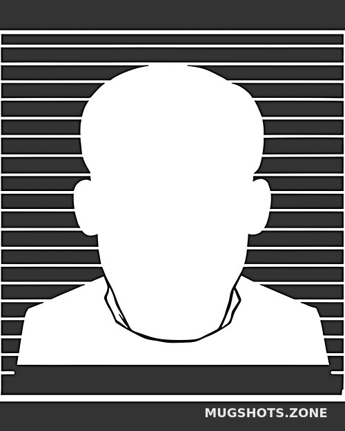 WILLIAMS SHANE GABRIEL 08/23/2025 - Horry County Mugshots Zone