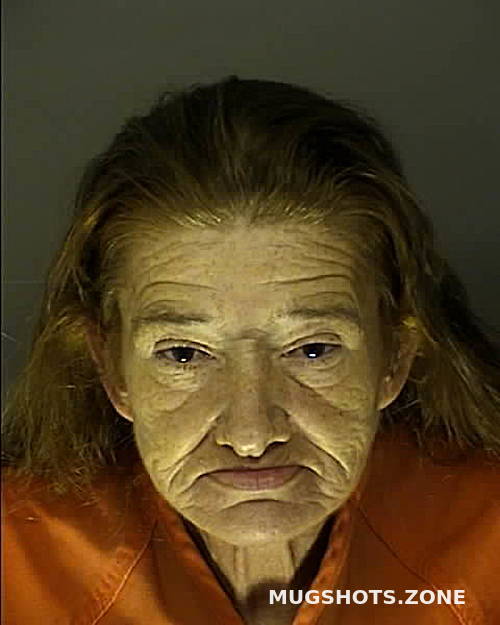 ROOTH PATRICIA CAROL 09/02/2025 - Horry County Mugshots Zone