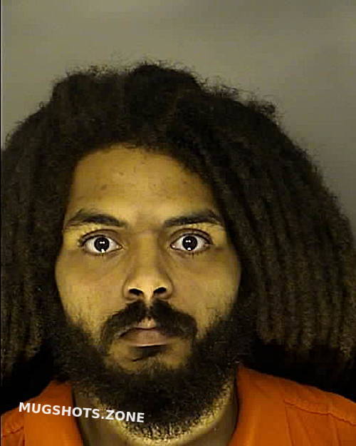 RIGGINS LONNIE TREQUAN 09/11/2025 - Horry County Mugshots Zone