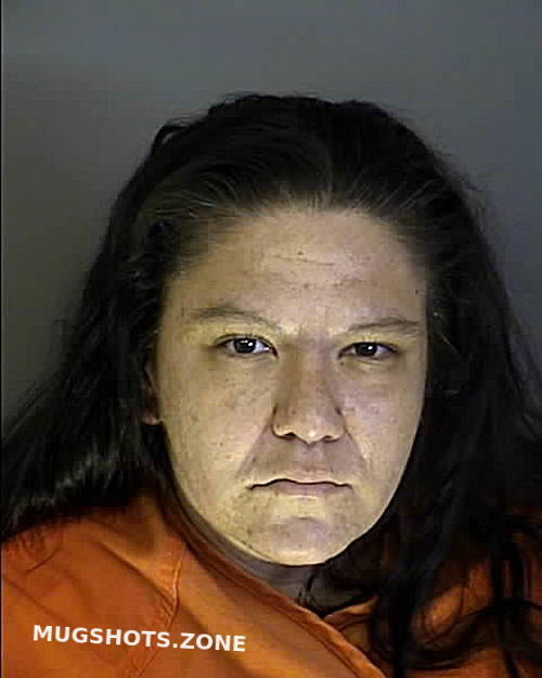 GARLOCK SHANNON MARIE 09/17/2025 - Horry County Mugshots Zone