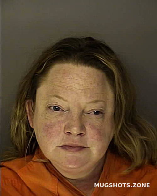 MCNEIL AMBER NICOLE 09/18/2025 - Horry County Mugshots Zone