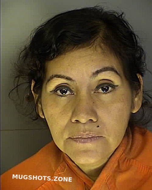 GONZALEZ ESPINOSA GRISELDA ISABEL 10/09/2025 - Horry County Mugshots Zone