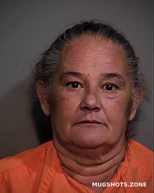 DEPALO PAMELA 10/25/2025 - Horry County Mugshots Zone